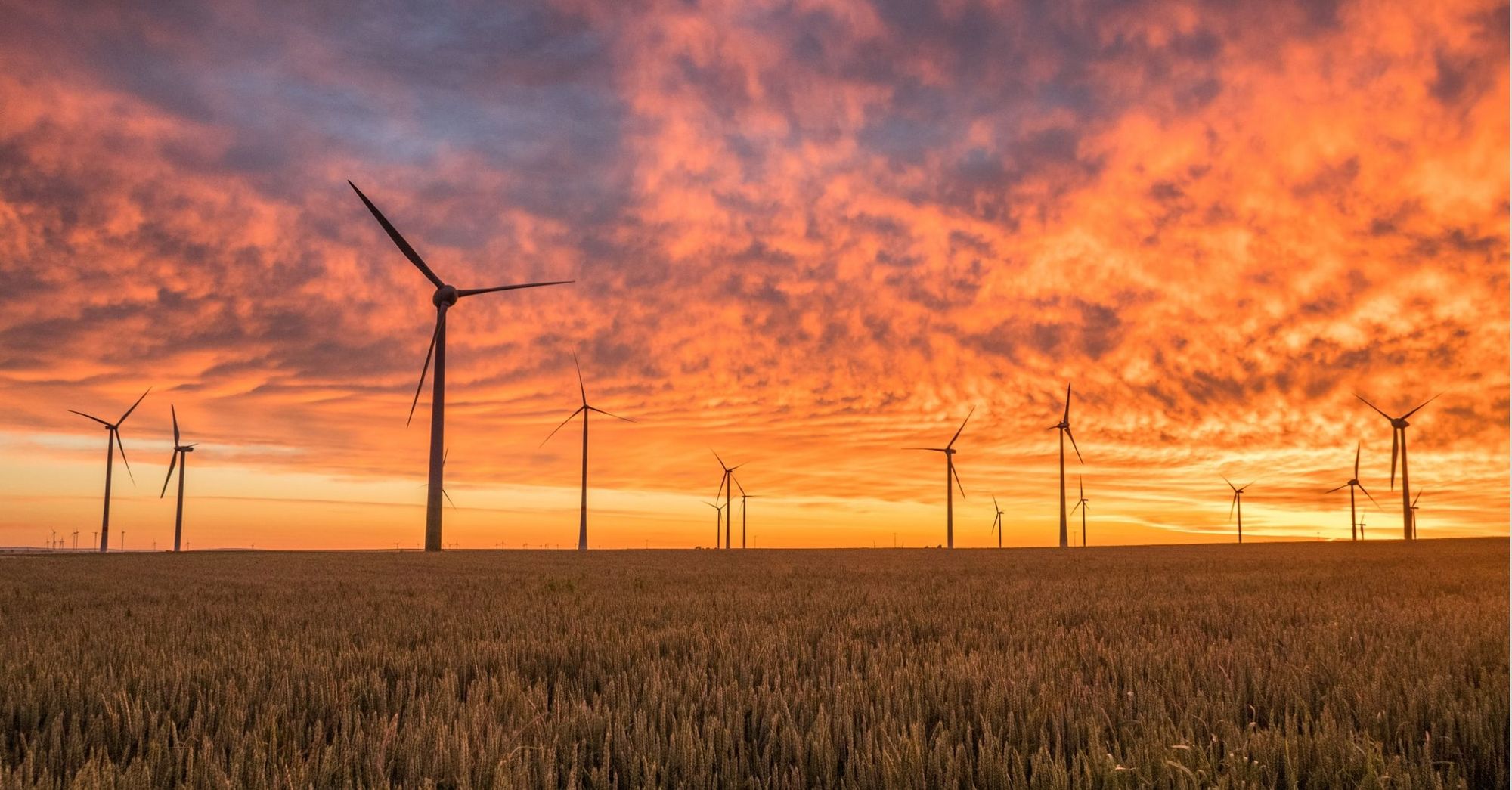 Schwerpunkt Umwelt und Nachhaltigkeit: Dorsch Europe